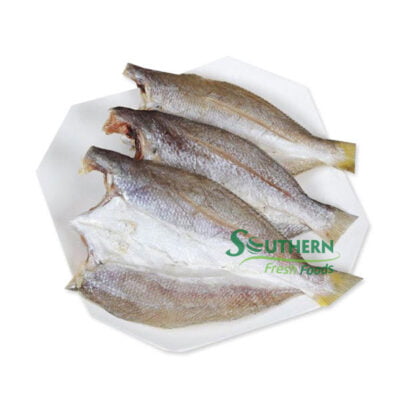 Salt Silver Croaker (Wild Caught) | Sai Thanh Foods