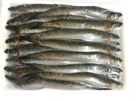 Frozen Spiny Goby WR (Farm Raised) | Sai Thanh Foods