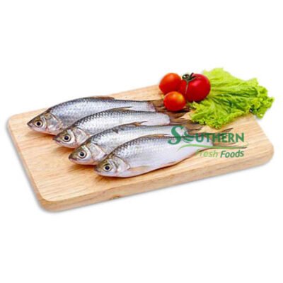 Lady Carp Fish | Sai Thanh Foods