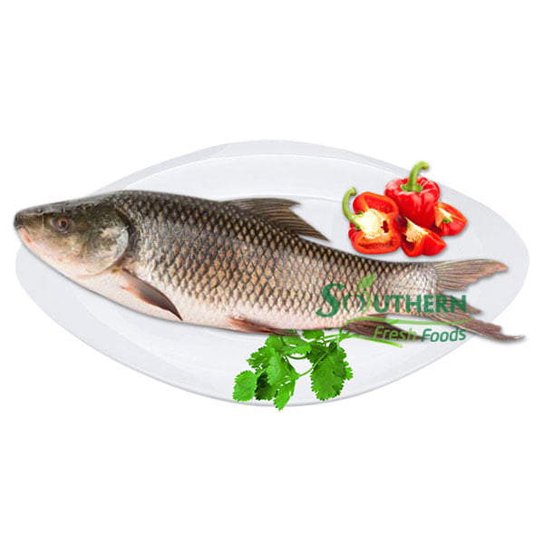 Best range of frozen seafood - SOUTHERN FRESH FOODS CO., LTD