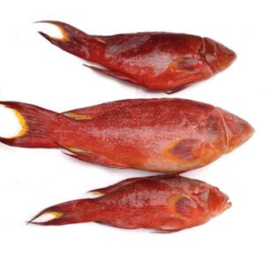 Frozen Red Miniatus Grouper (Wild Caught) | Sai Thanh Foods